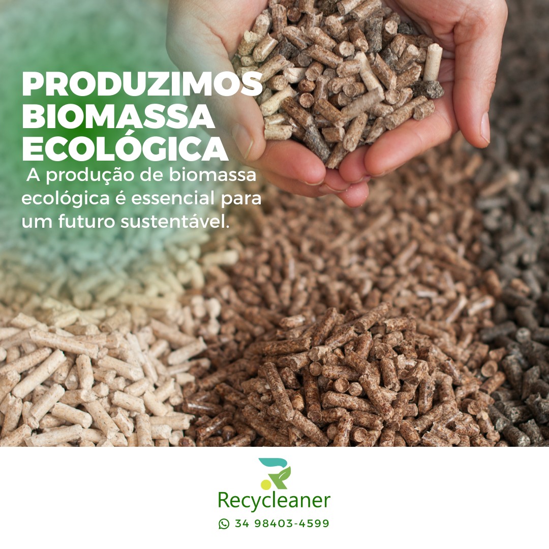 Produzimos Biomassa Ecológica - Grupo Recy